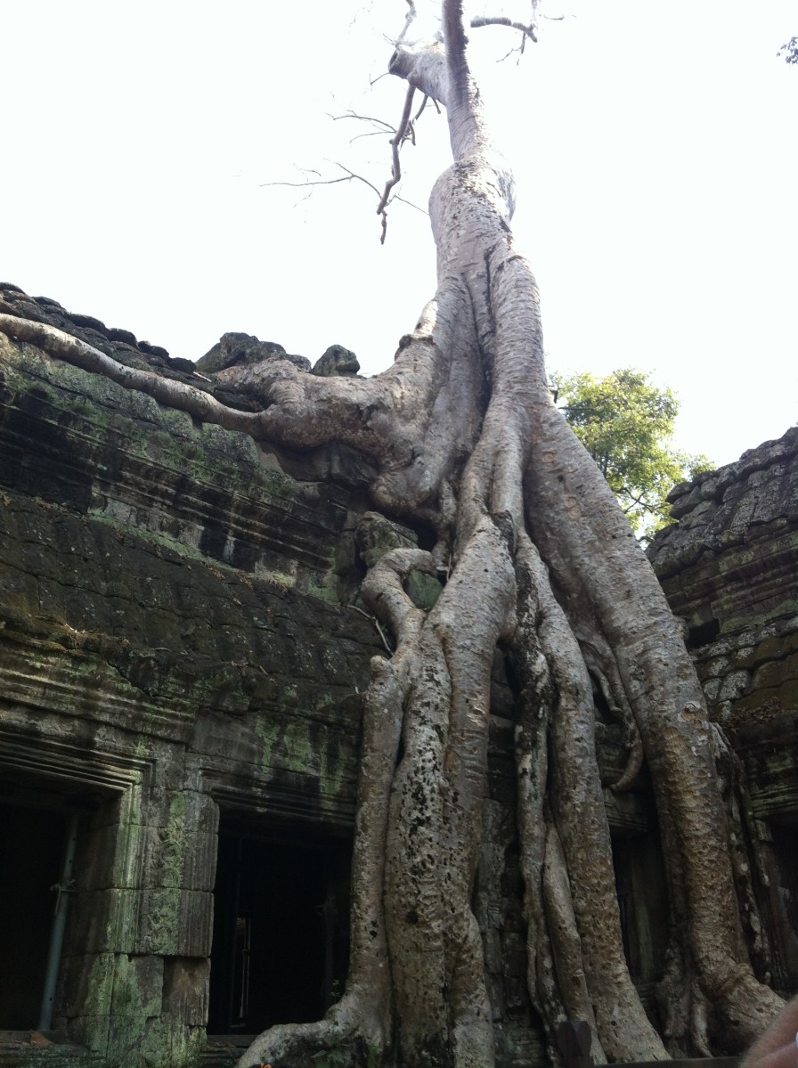 Popular Natureculture – Colonizing Animals