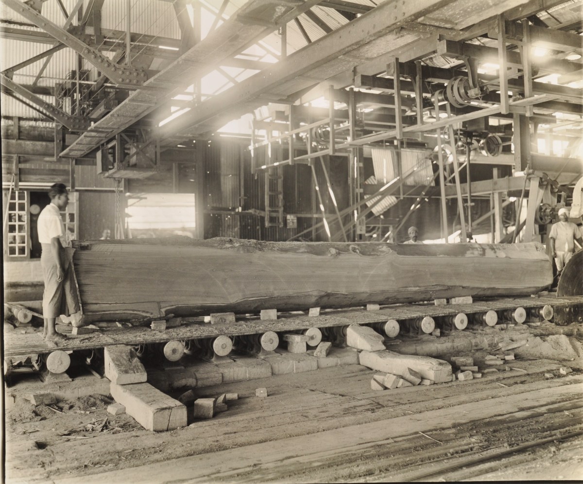 The 1941 Yangon Sawmill Workers’ Strike: Part 1 – Colonizing Animals