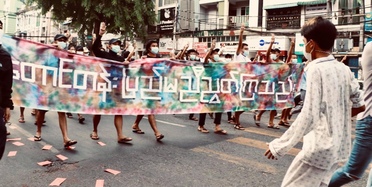 Histories for the Burmese Revolution – Colonizing Animals